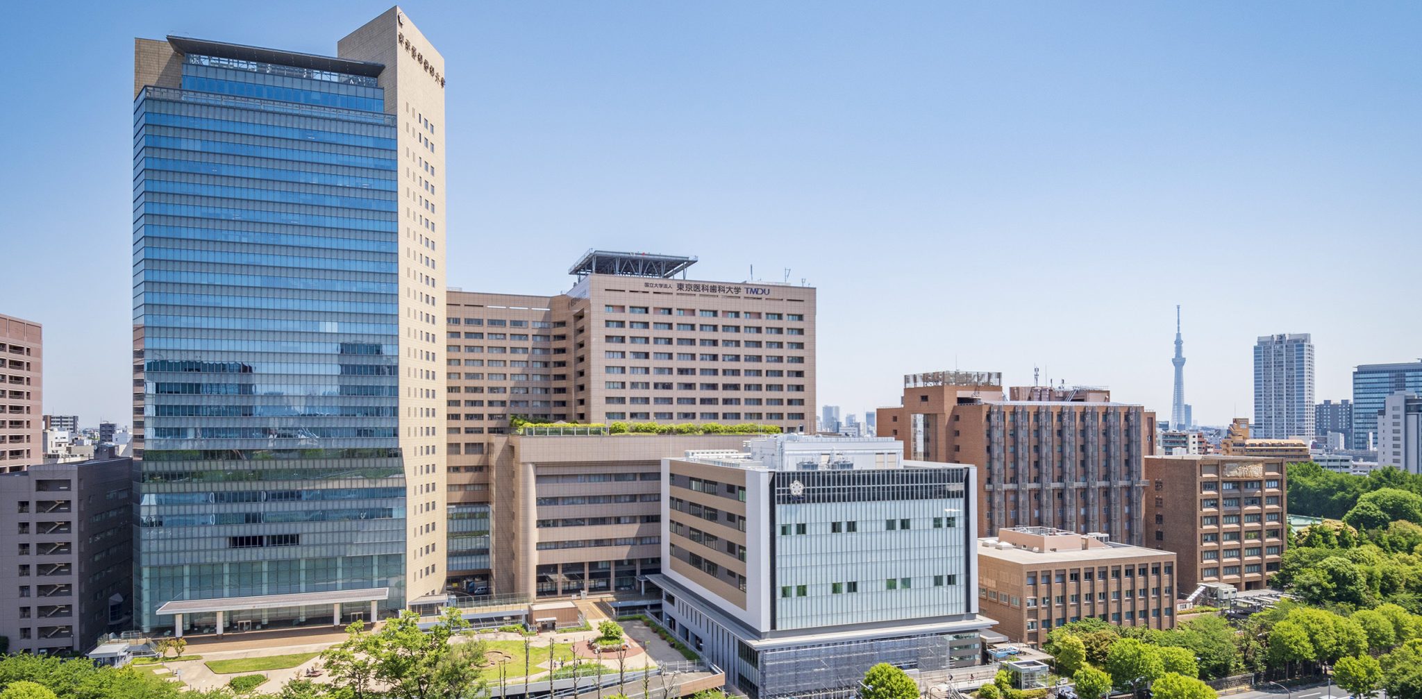 Top 20 Best Universities in Japan 2025